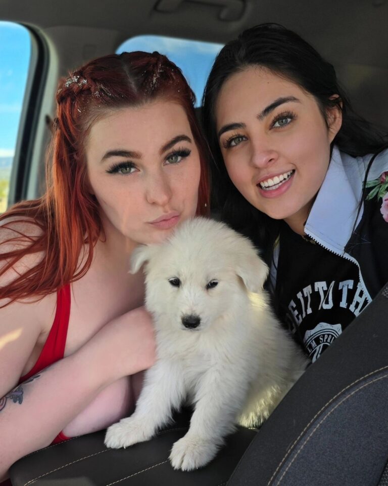 Abigail Morris Bio, Age, Career, Net Worth, Height, Education,