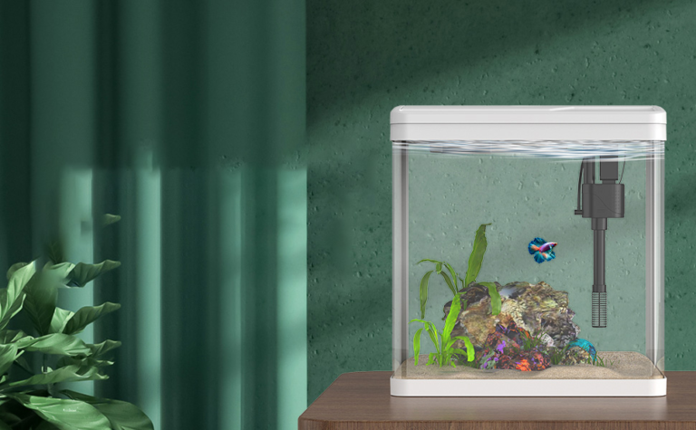 Mini Fish Tank Cleaner: Essential Tips and Tools for Maintaining a ...